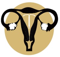 Pills, Patches, Creams or Sprays? How to Choose a Hormone Therapy ...