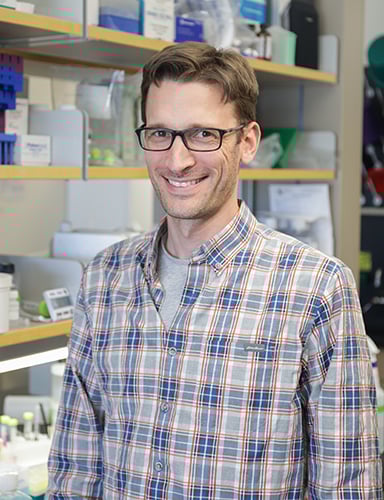 New discovery on T cell behavior has major implications for cancer immunotherapy