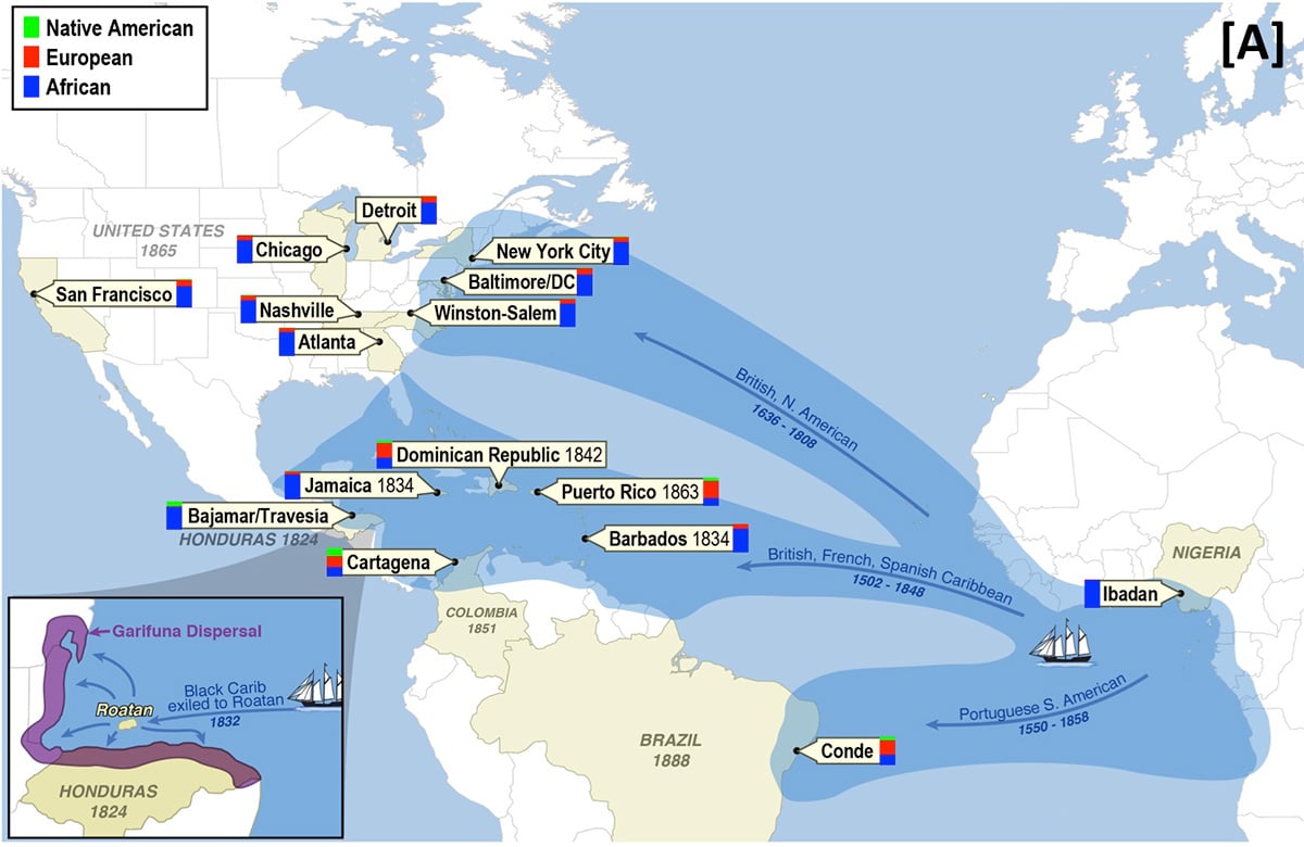 Scientists map genome of African diaspora in the Americas