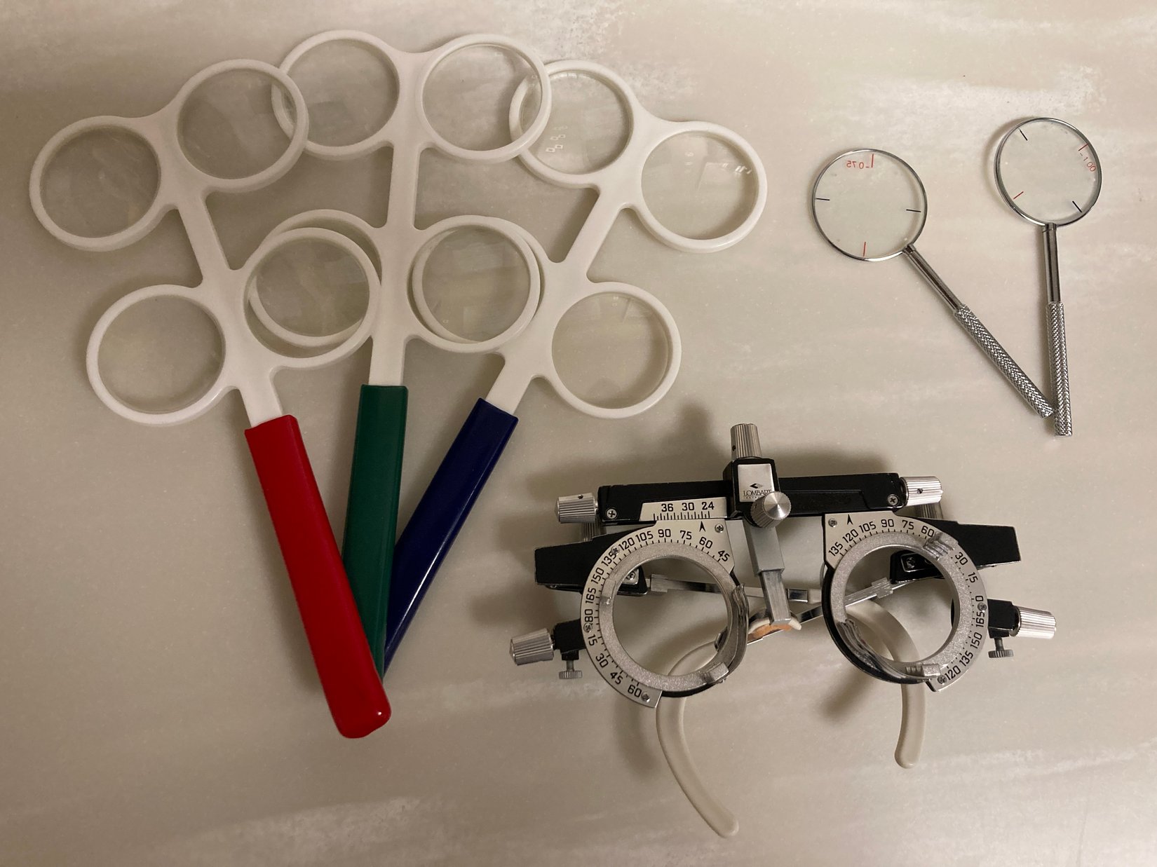 Removing Barriers from Low Vision Rehabilitation