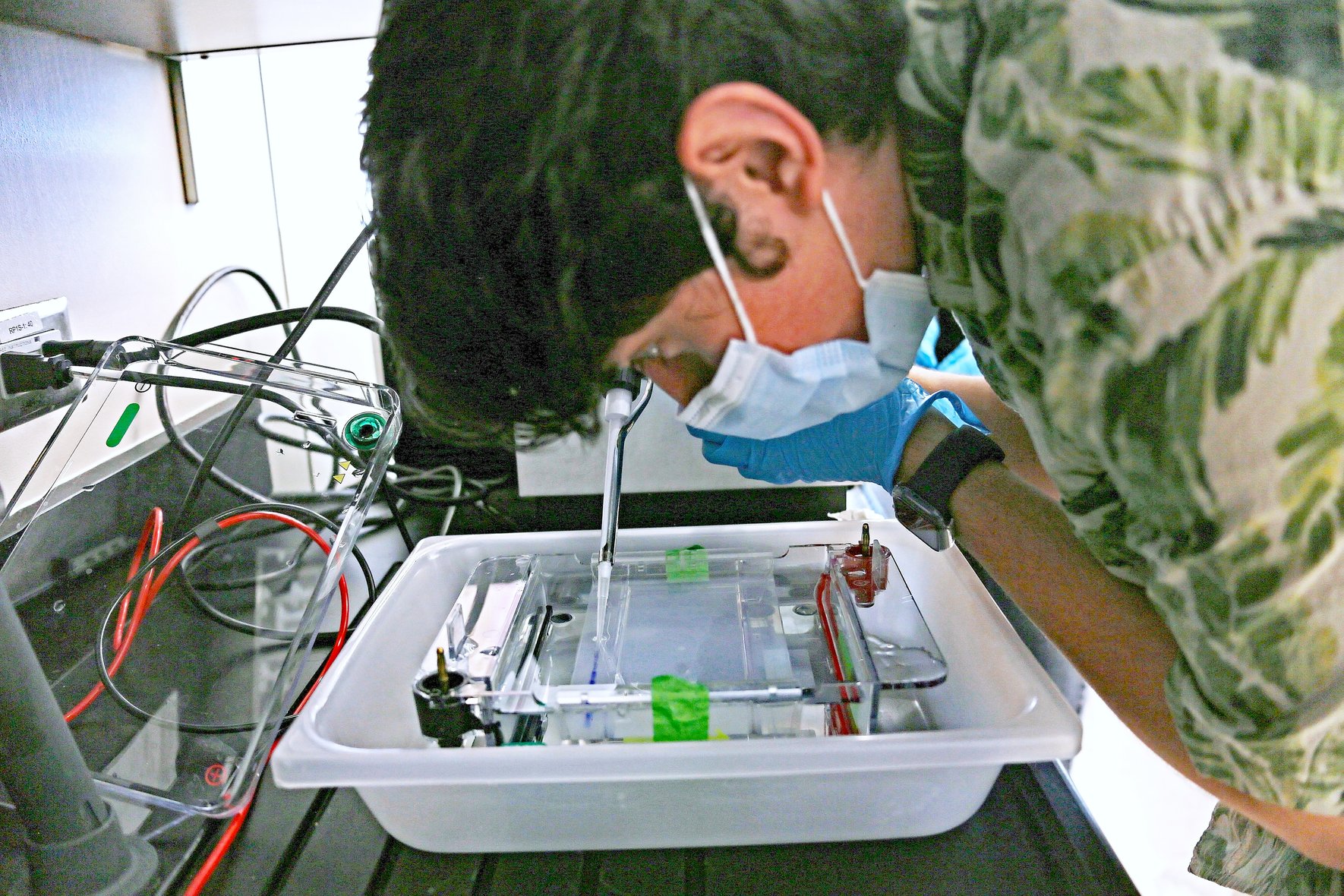 SEA-PHAGES Program Teaches Students Science Fundamentals as They ...