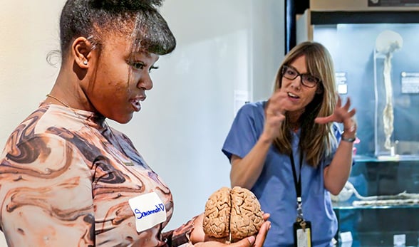 Intricate Look at Neurons Brings Wonder and Intrigue to Anatomy Lesson