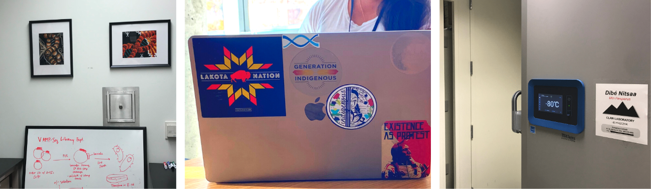 CU Professor Draws on Indigenous Roots in Approach to Research and ...