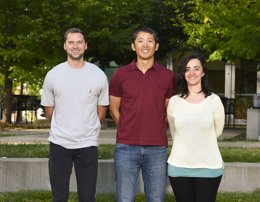 Researchers Overturn Decades-Old Hypothesis Underlying the Incredible ...