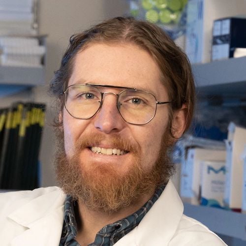 Studying the Oral Cancer Immune Landscape in Dogs