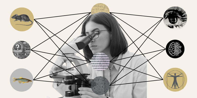 How Computational Methods are Improving the Reliability of Model ...